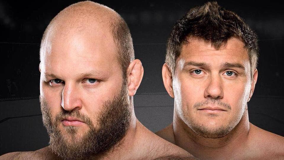 ufc十大锁技,ufc重量级,ufc重量级排名_大山谷图库